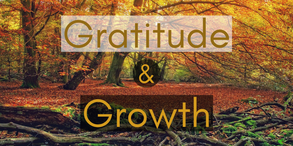 Gratitude and Growth: How to Practice Gratitude - Amy Julia Becker