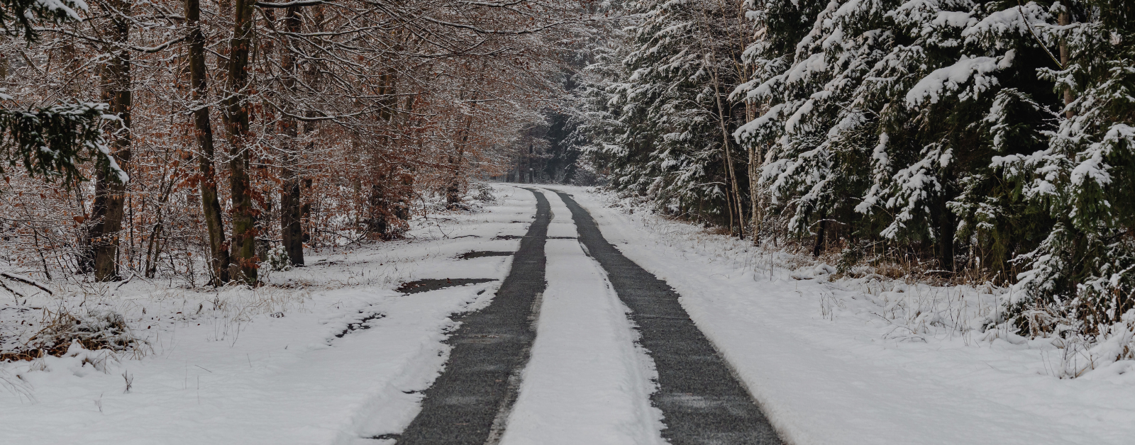 When the New Year Hits Harder Than Expected - Amy Julia Becker